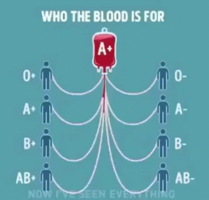 Your Blood Donation Willingness Details Submitted Successfully